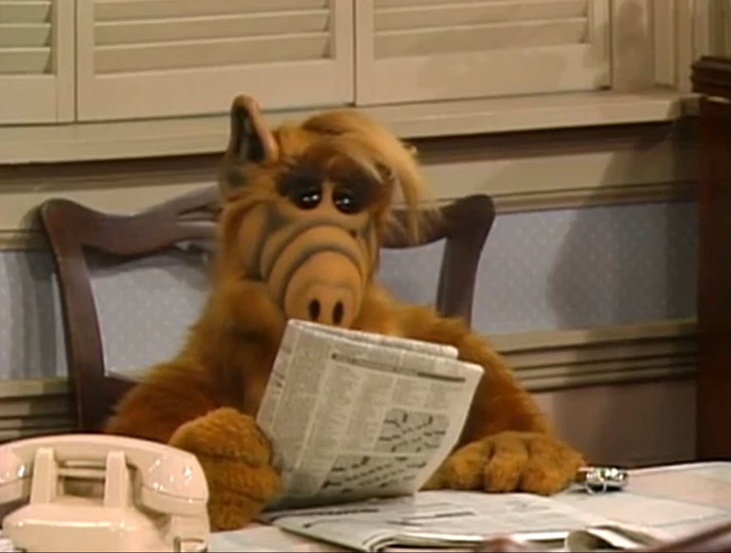 (Re)Watching: ‘ALF’. – The Bitter Lemon