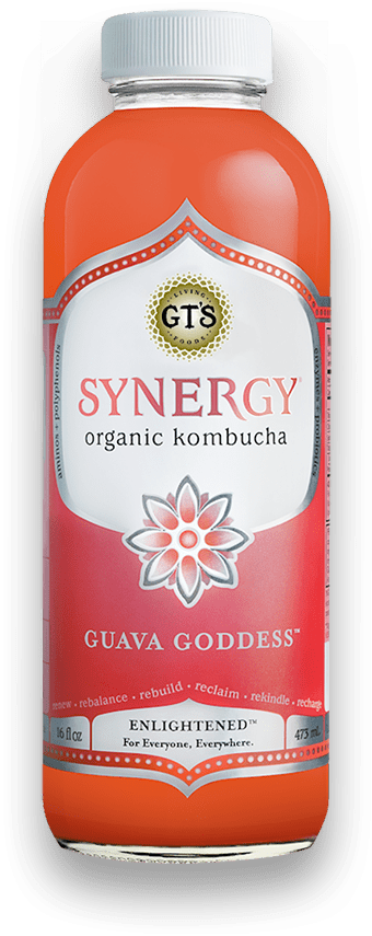 A Beginner’s Guide to Kombucha. – The Bitter Lemon