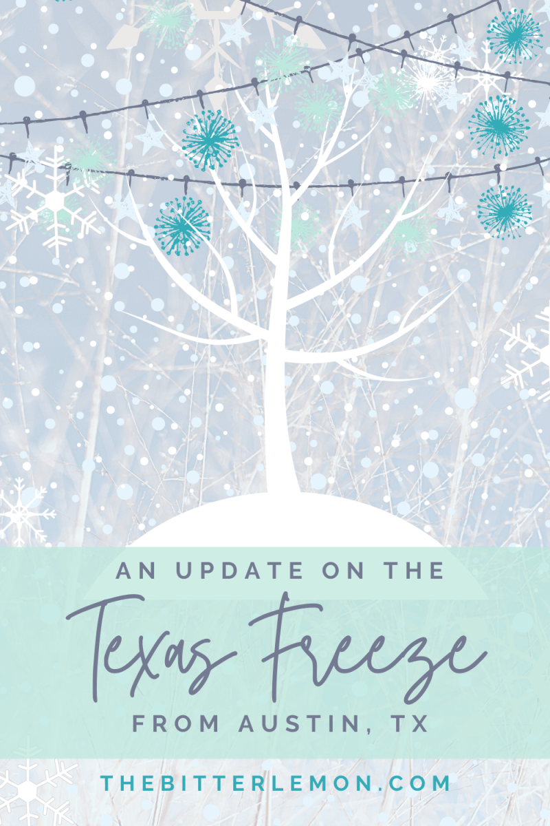 My Experience During the Texas Freeze. – The Bitter Lemon