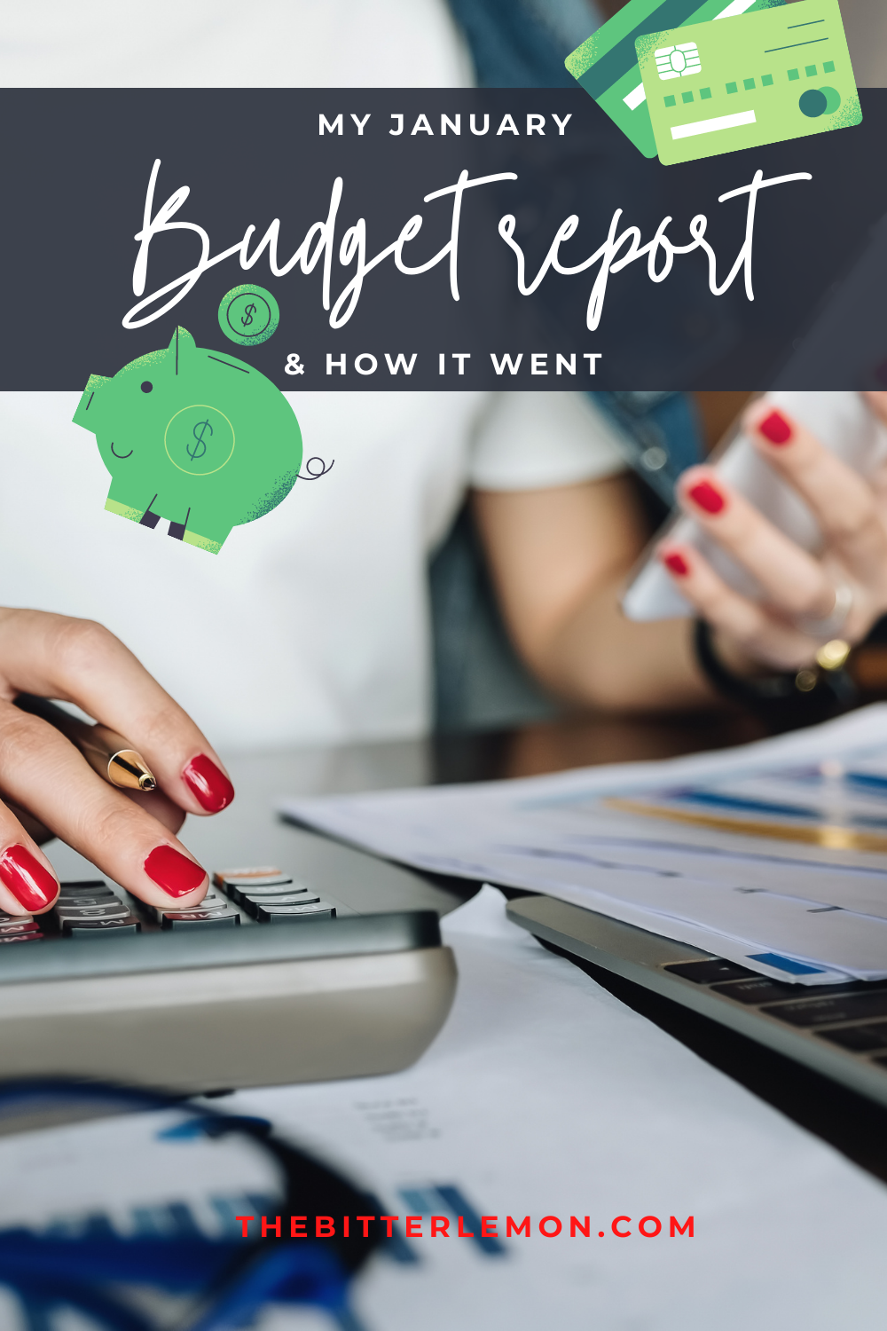 January: My first month on a budget. – The Bitter Lemon