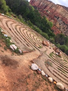 My Trip to Ghost Ranch With Austin Film Festival! – The Bitter Lemon