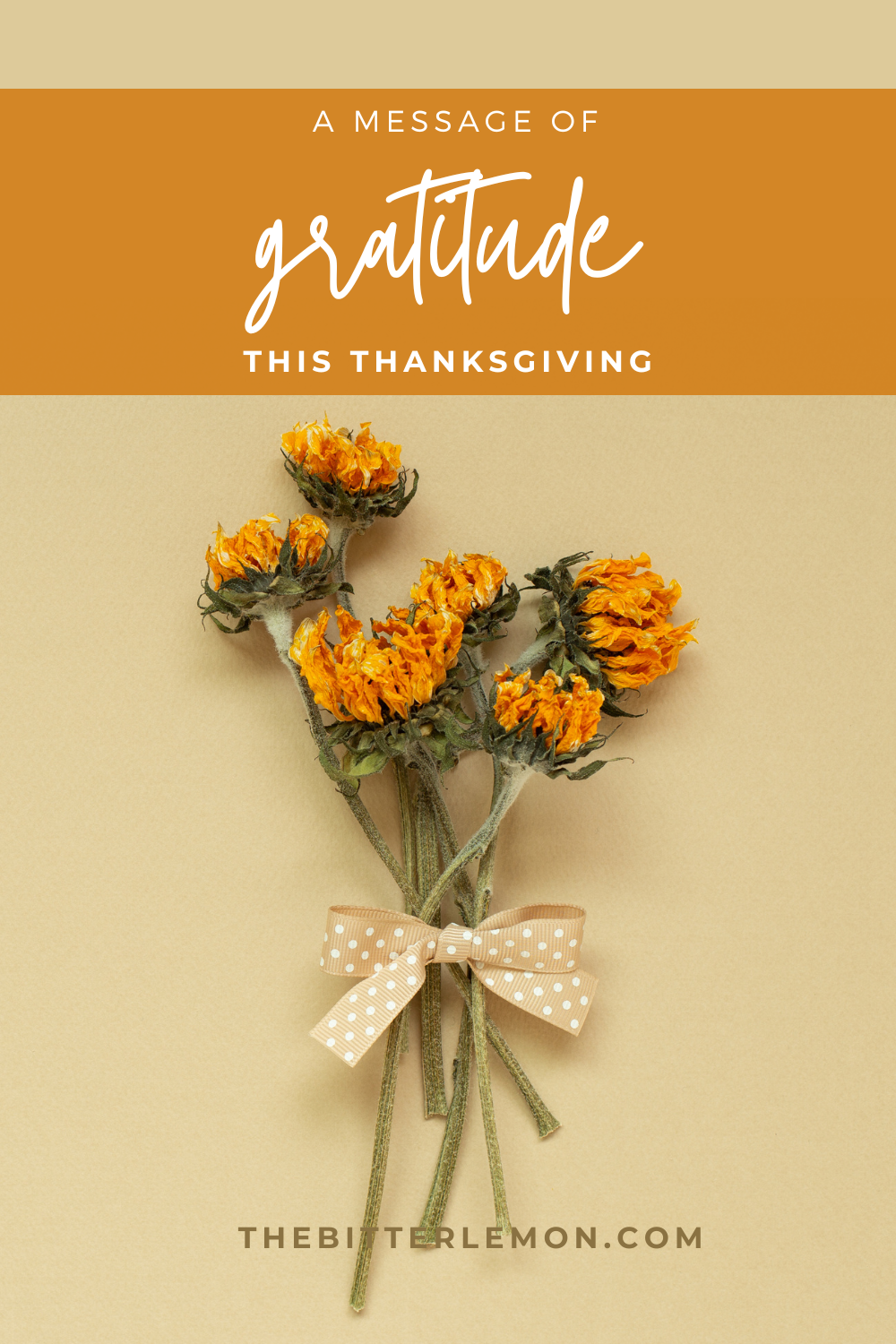 A Message of Gratitude this Thanksgiving. – The Bitter Lemon
