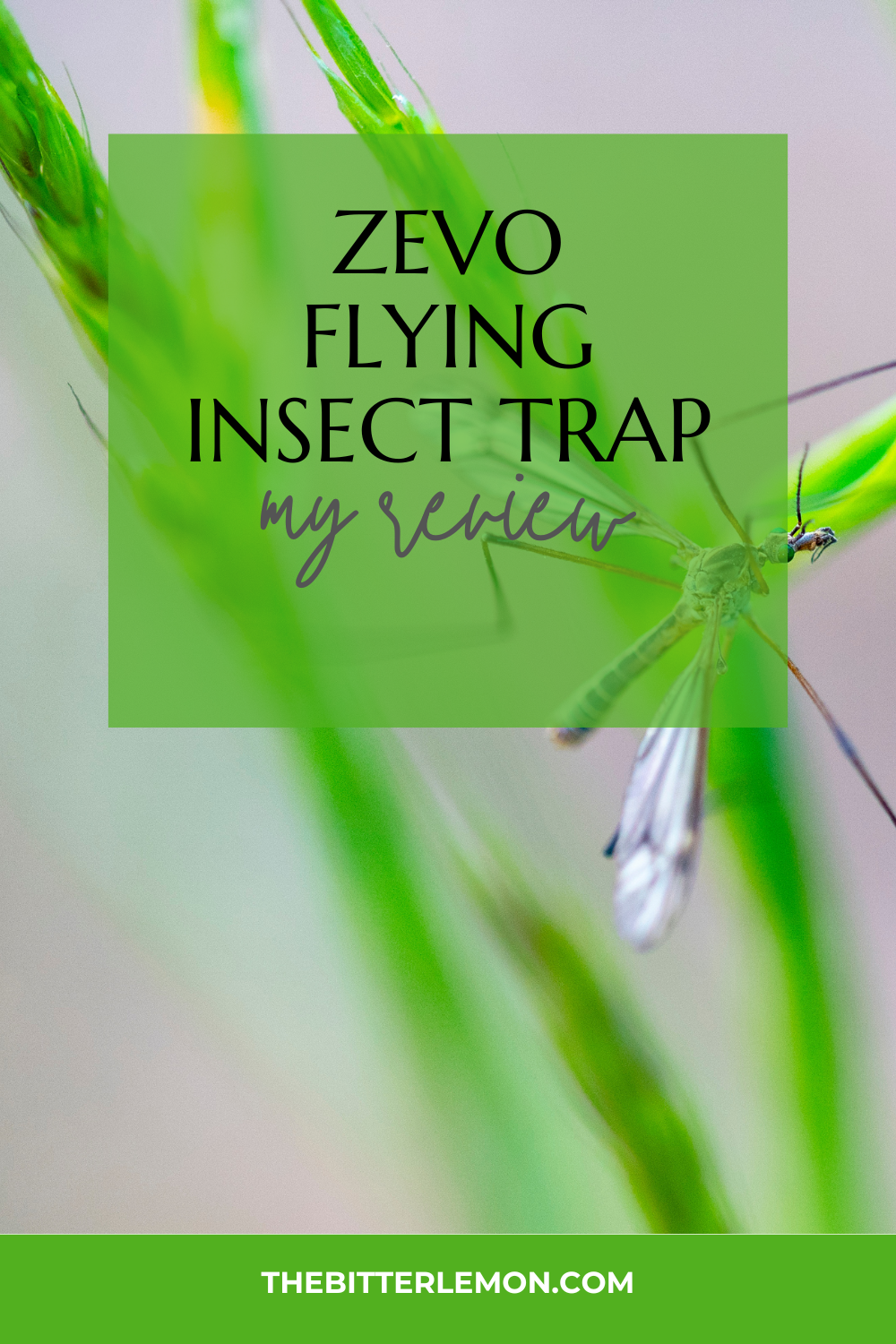 A Review: Zevo Flying Insect Trap. – The Bitter Lemon