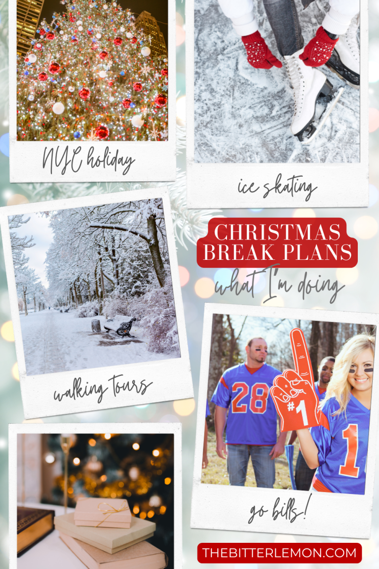 My “Christmas Break” Starts Today — Here’s What I’m Doing. – The Bitter ...